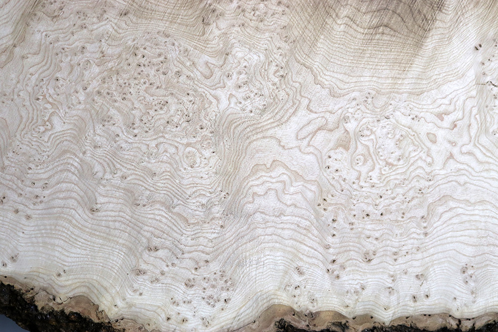 Esche Maser aus dem Sägewerk - Feines Holz