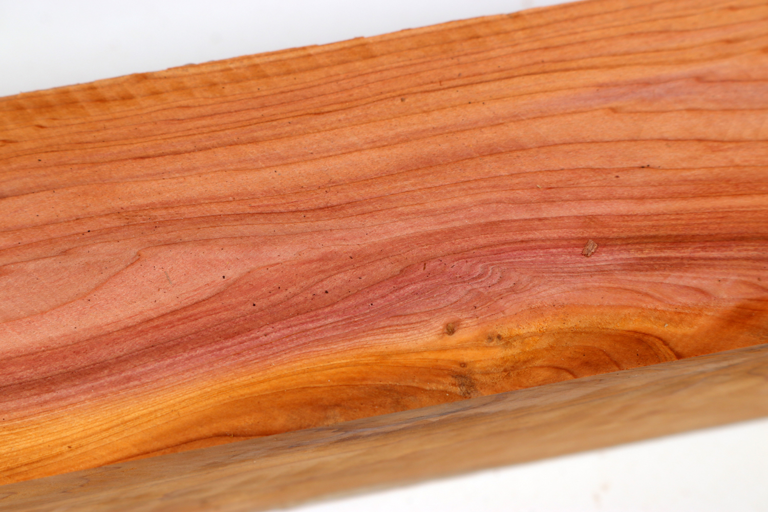 Square Yew 220x50x50mm - Eib1724 - Feines Holz
