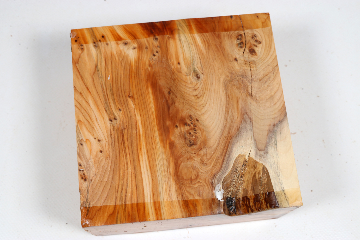 Block Yew Burl 135x135x70mm - Eib1730 - Feines Holz